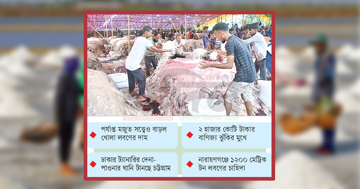 চামড়া বাঁচাতে ‘লবণ-যুদ্ধ’ | The Daily Adin